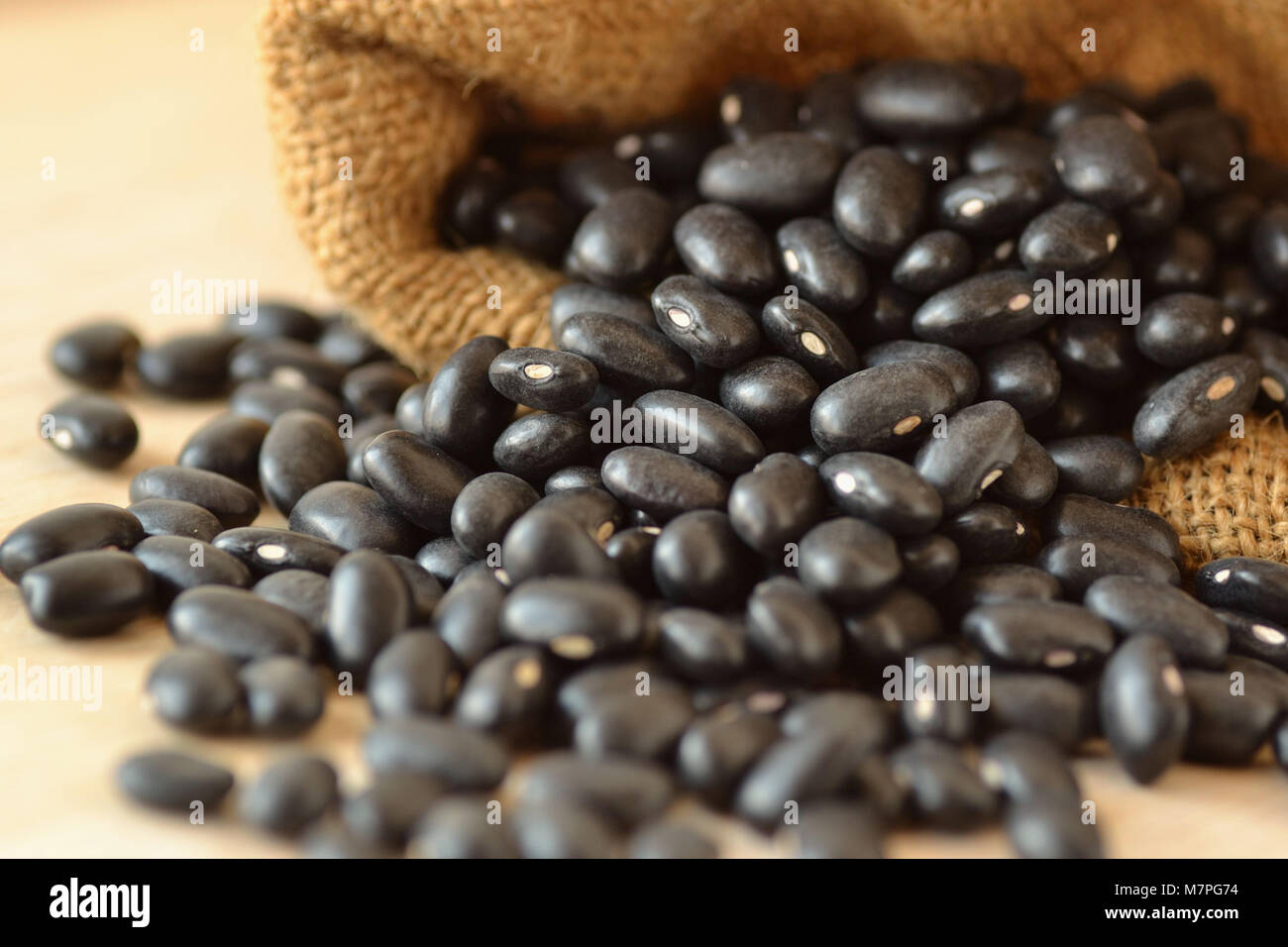 Jute vegetable fiber hi-res stock photography and images - Alamy