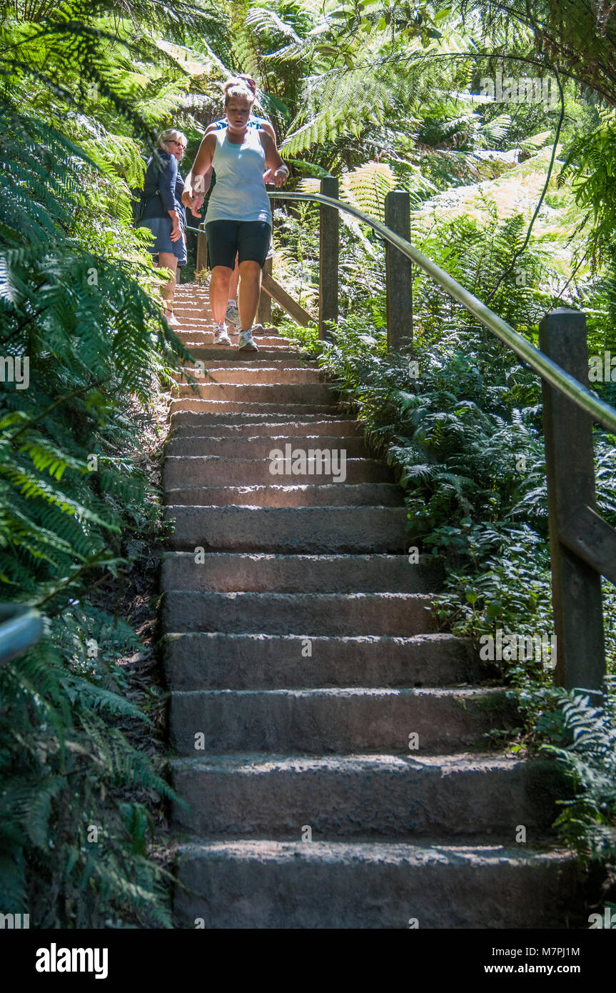 Kokoda hi-res stock photography and images - Alamy