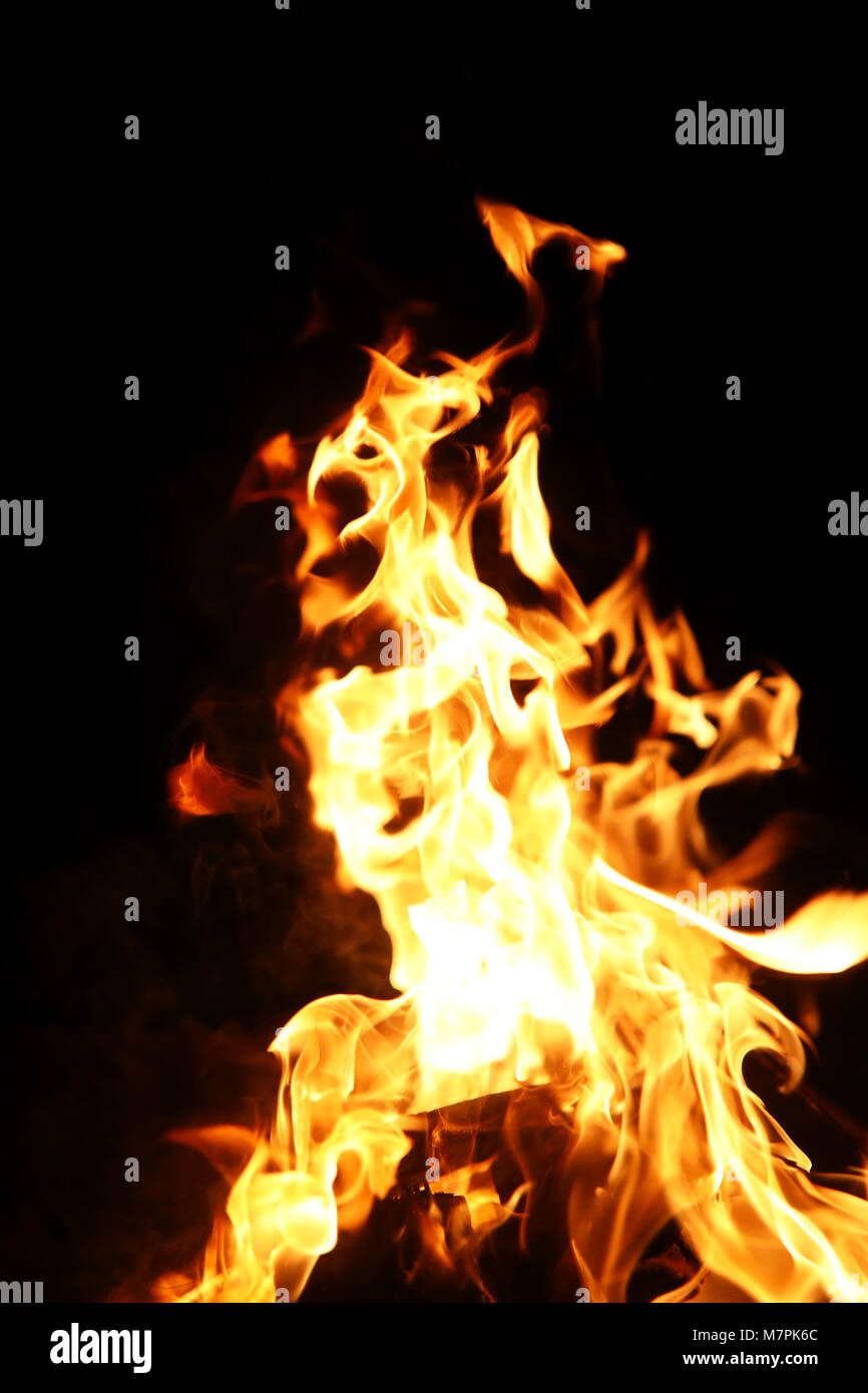 Tongues of flame of fire of orange-yellow color from burning fir Stock ...