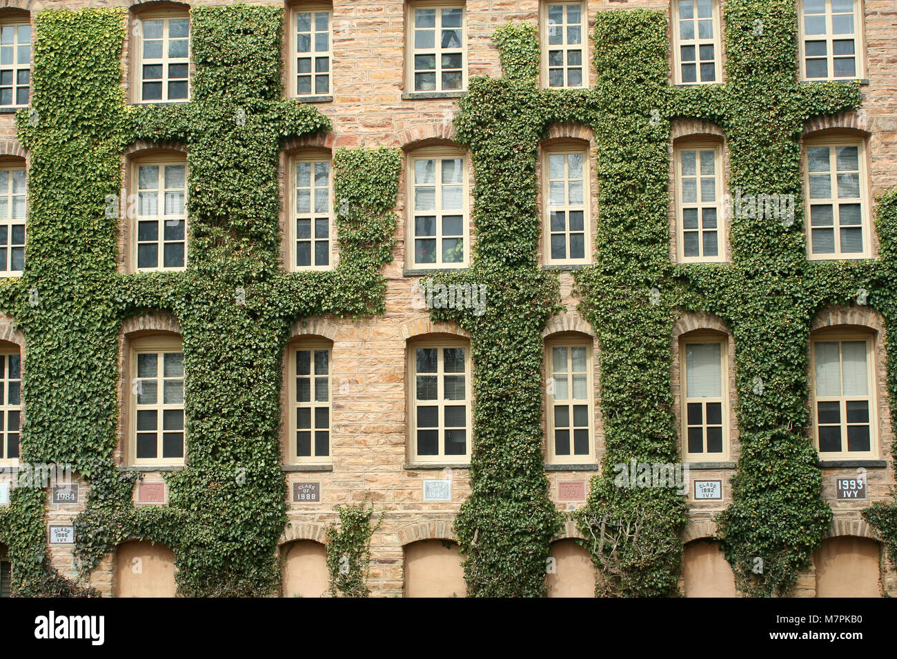 the ivy walls of princeton university Stock Photo - Alamy