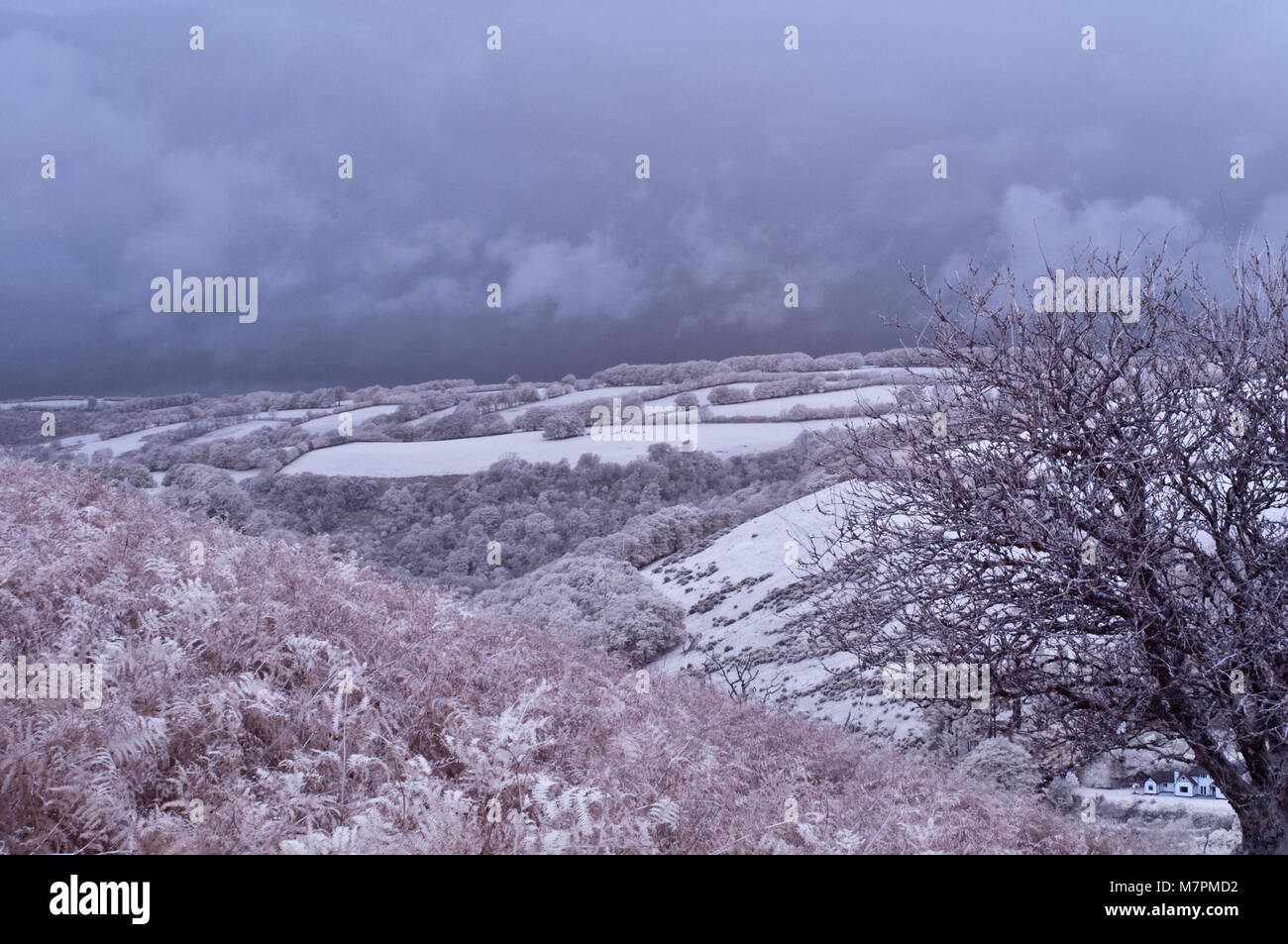 Infrared view across Bye Common and the River Exe Valley from a ...