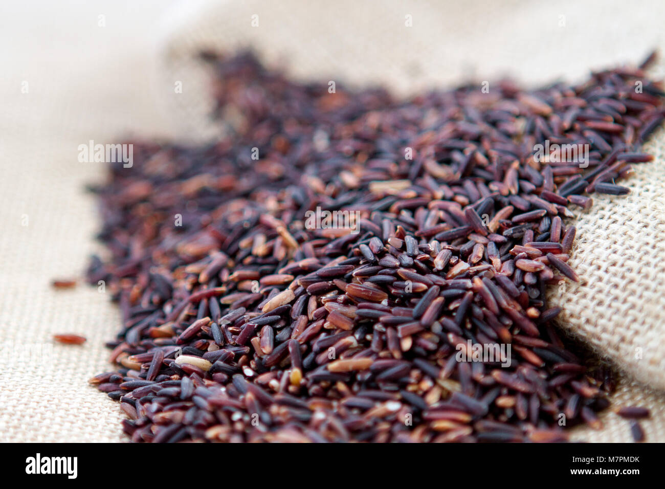 Wild rice grains, vegetarian exotical food Stock Photo - Alamy