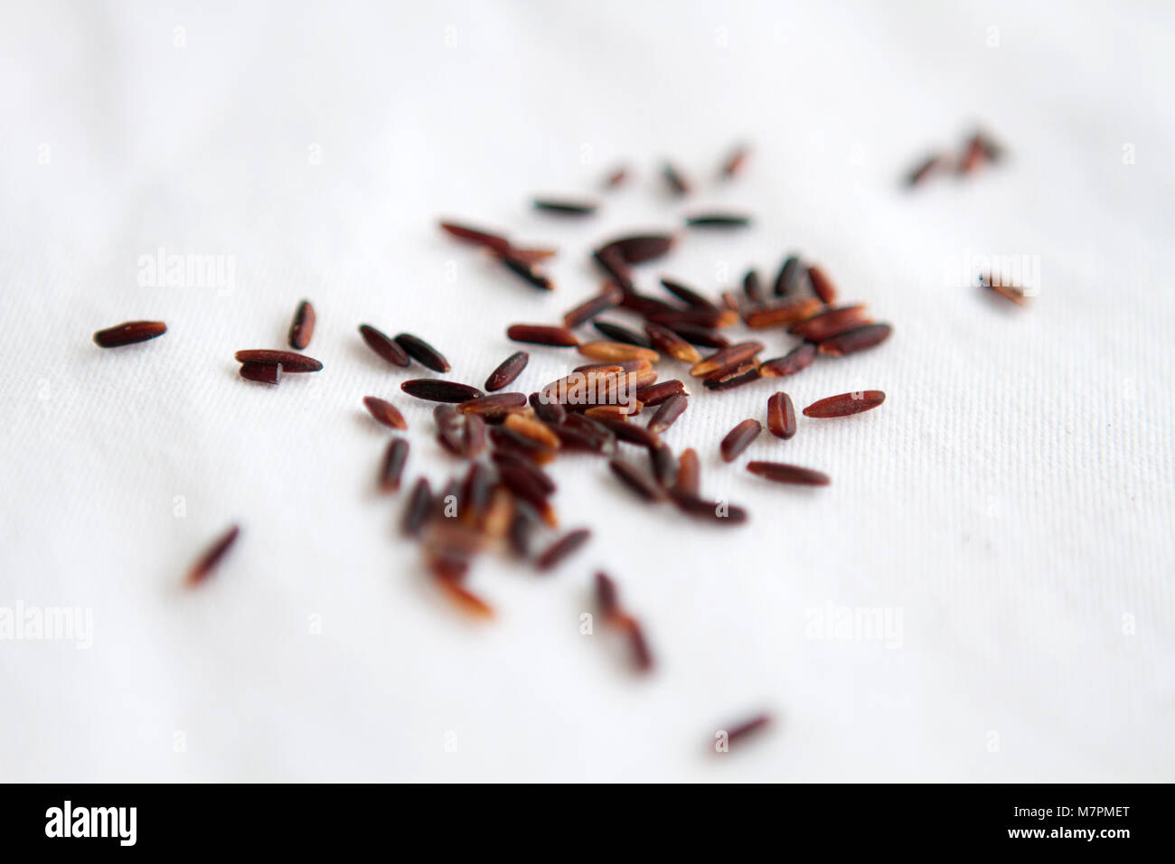 Wild rice grains, vegetarian exotical food Stock Photo - Alamy