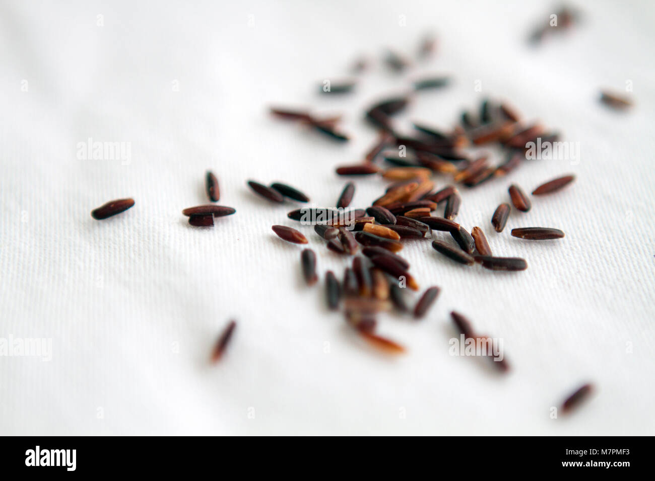 Wild rice grains, vegetarian exotical food Stock Photo - Alamy