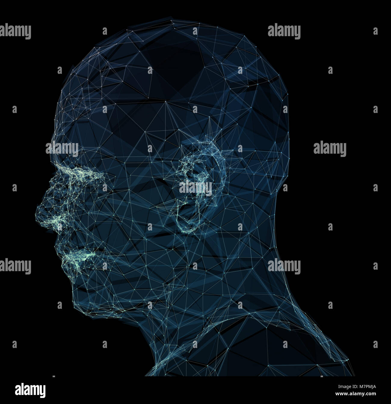 Head of the Person from a 3d illustration Grid. Human Head Model ...