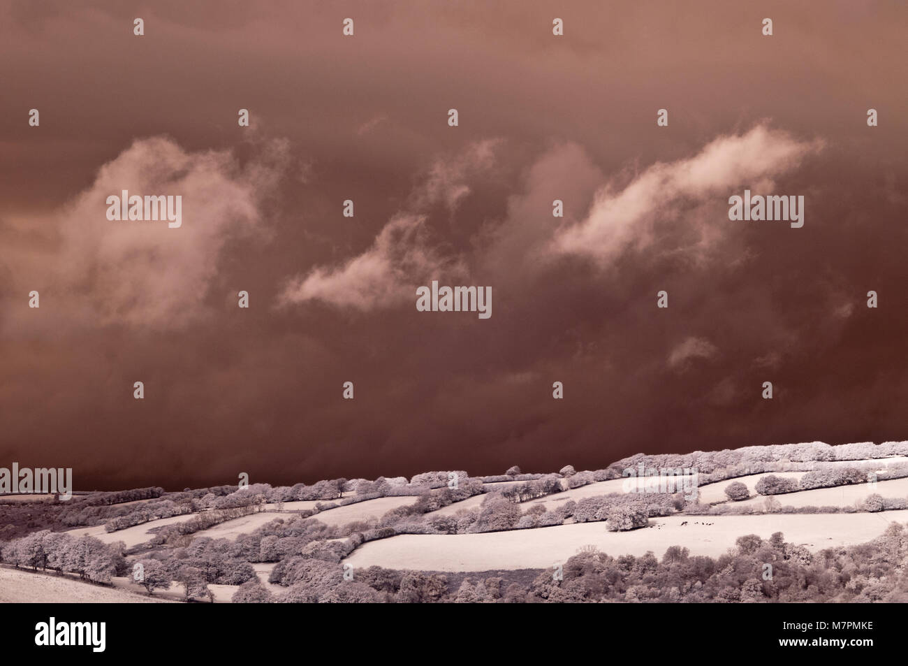 Infrared view across Bye Common and the River Exe Valley from a ...