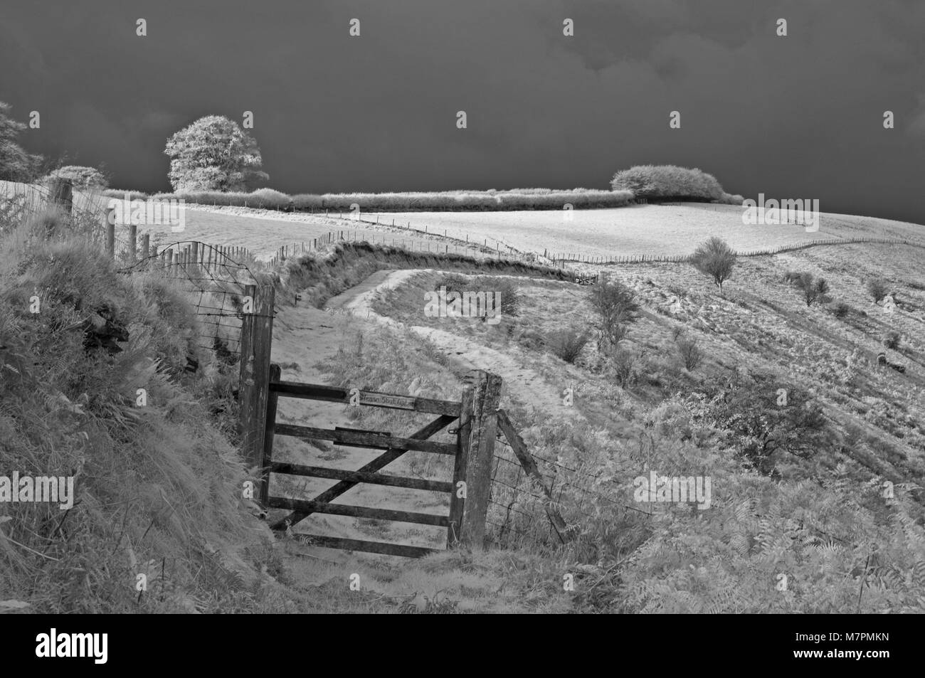 Infrared view across Bye Common above the River Exe Valley from a ...