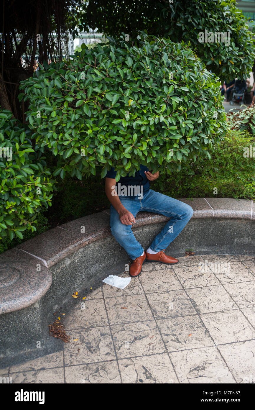 Sitting seated under tree trees hi-res stock photography and images - Alamy