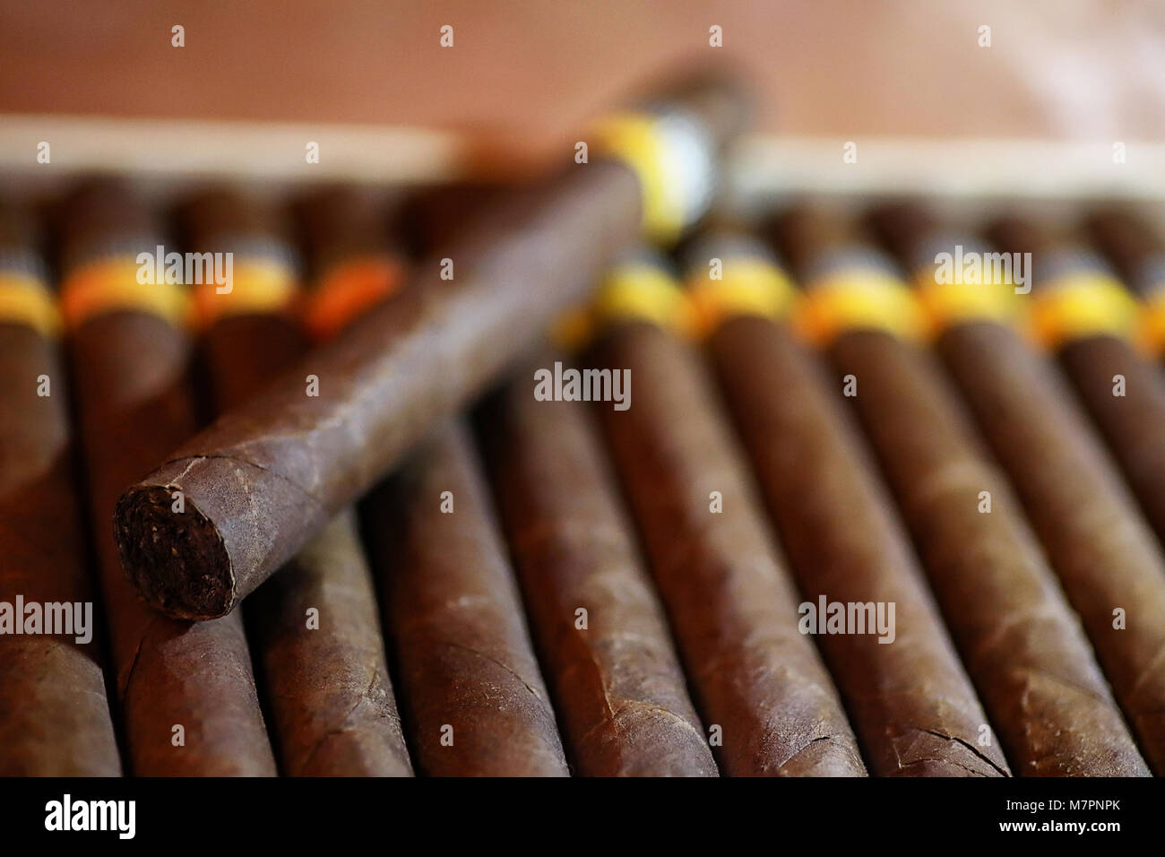 large wooden box of cigars handmade Cuban Stock Photo - Alamy
