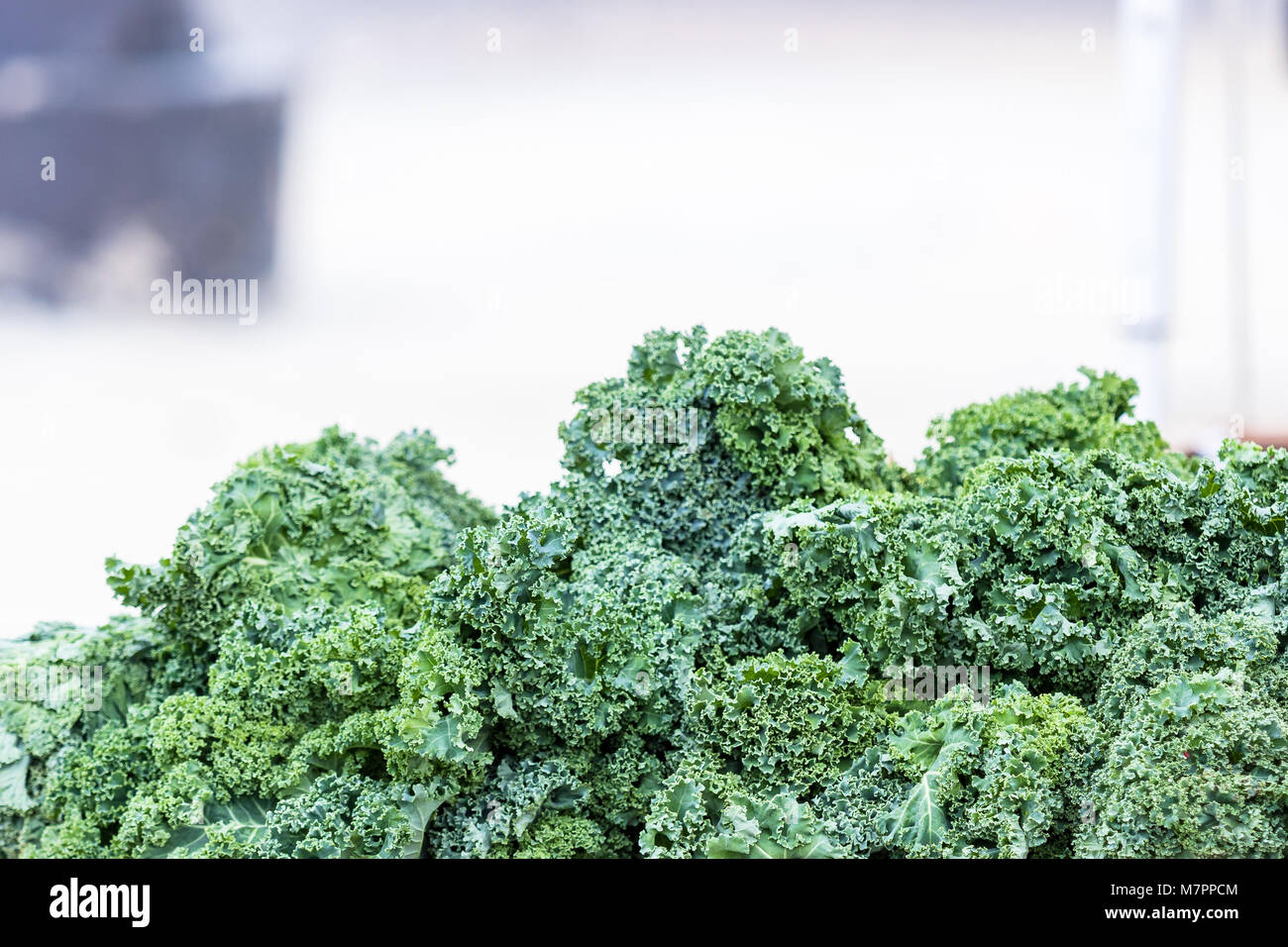 Closeup of organic kale at a local farmers market Stock Photo - Alamy