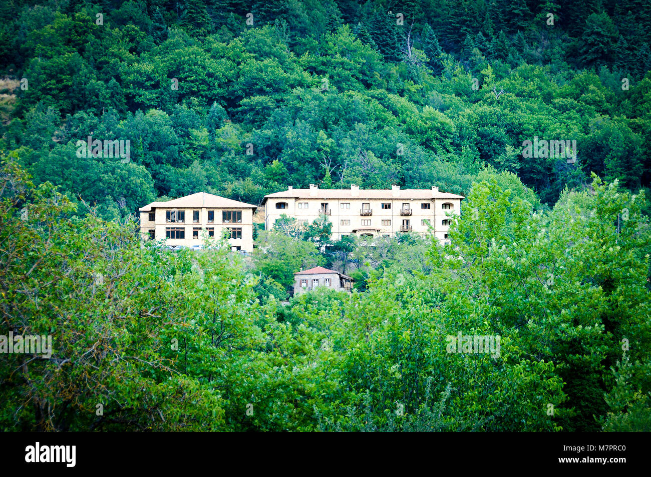 Church and houses among trees hi-res stock photography and images - Alamy