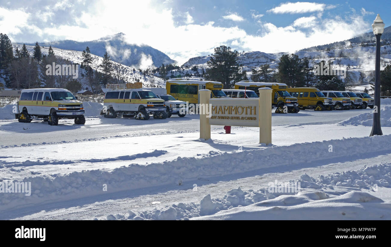 Winter transportation vehicles at Mammoth Over snow vehicles lined up ...
