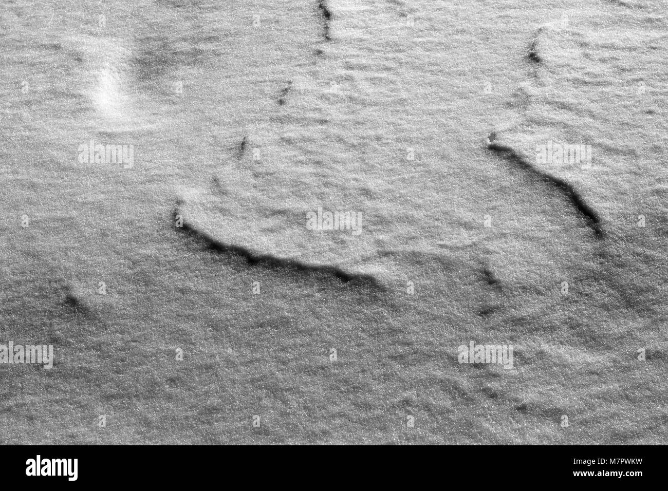 crust of snow Stock Photo - Alamy