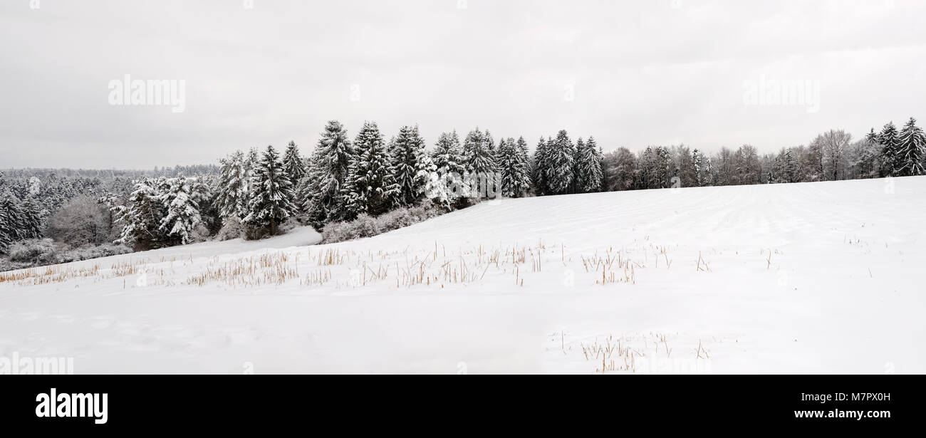 winter country landscape with meadows and woods covered with fresh snow ...