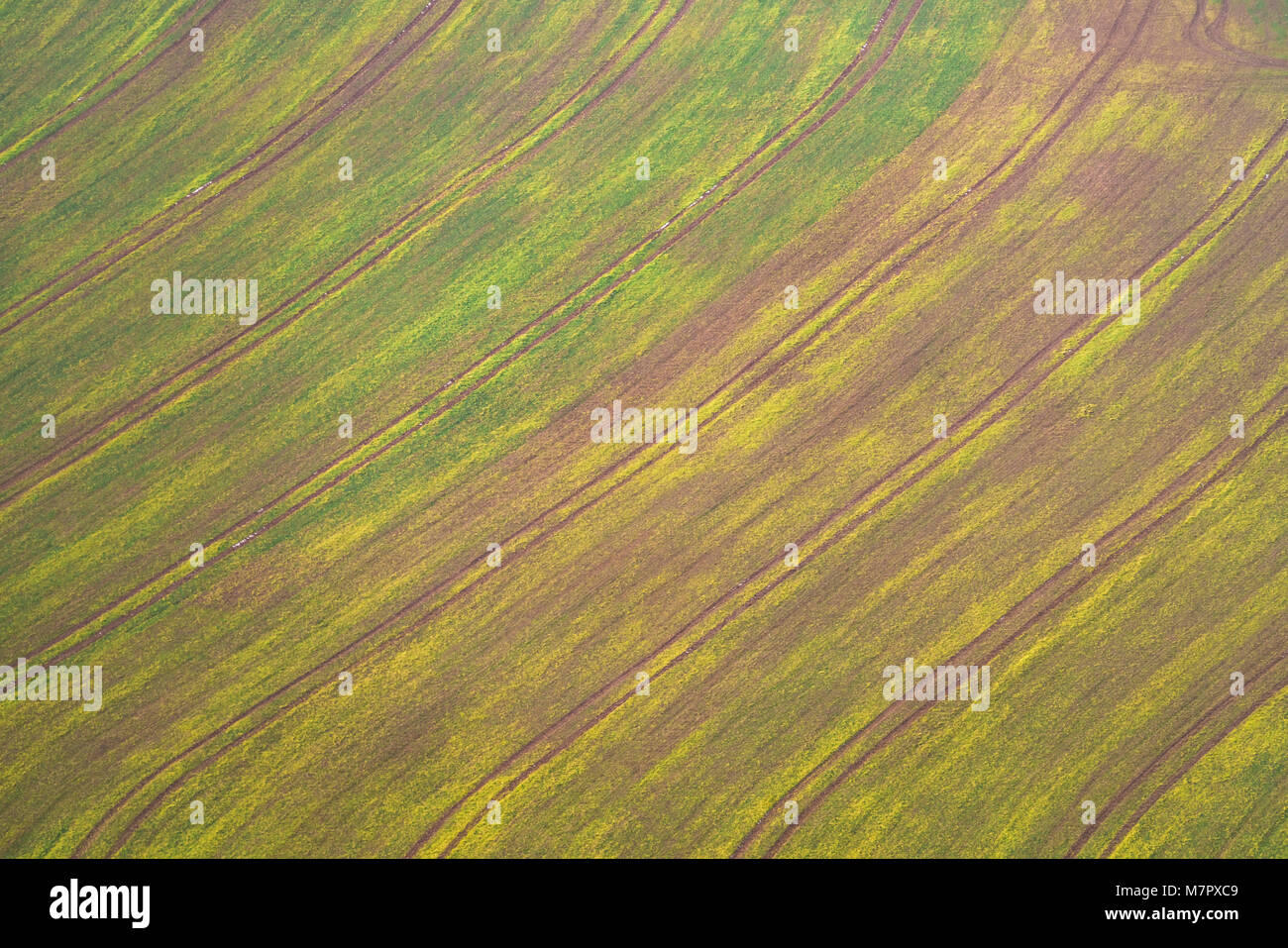 Aerial view of an empty field in winter among the rural landscape of ...