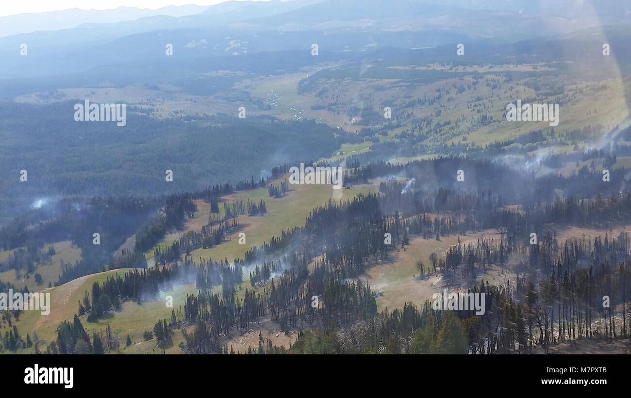 Fawn Fire August Stock Photo - Alamy