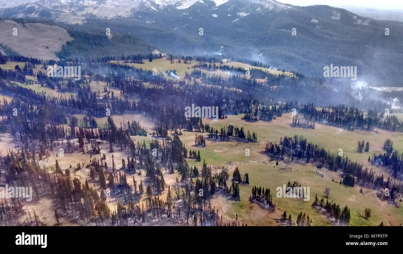 Fawn Fire August Stock Photo - Alamy