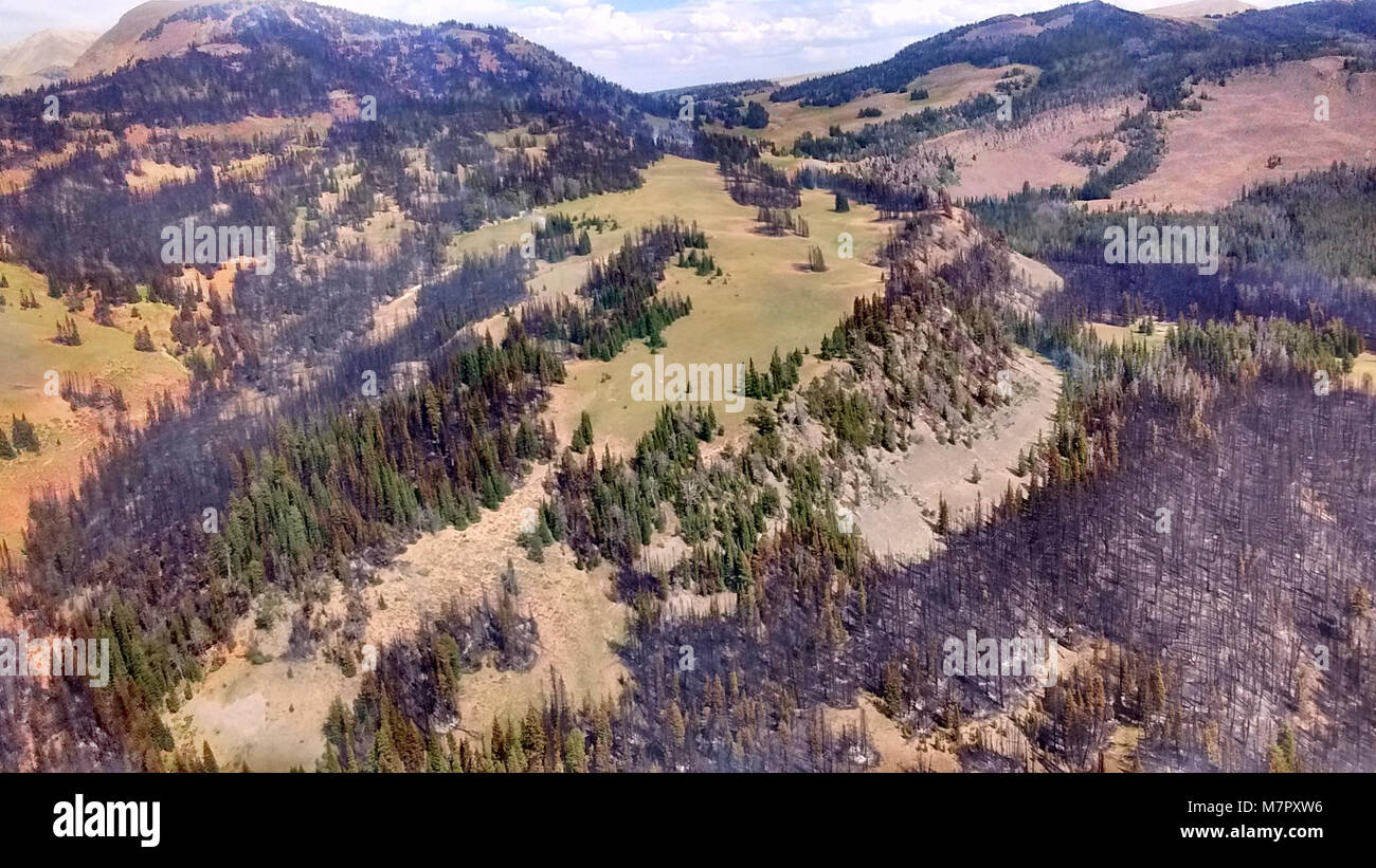 Fawn Fire August Stock Photo - Alamy