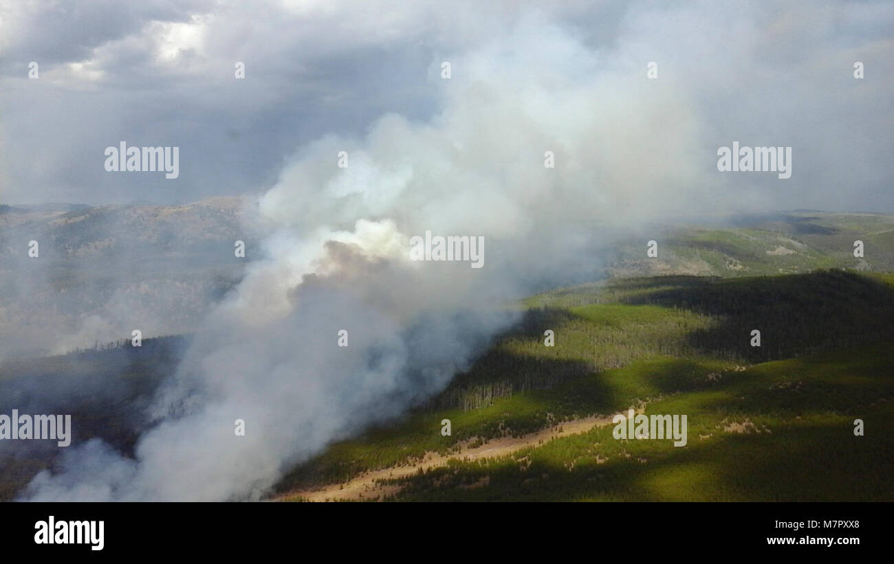 Maple Fire August Stock Photo - Alamy