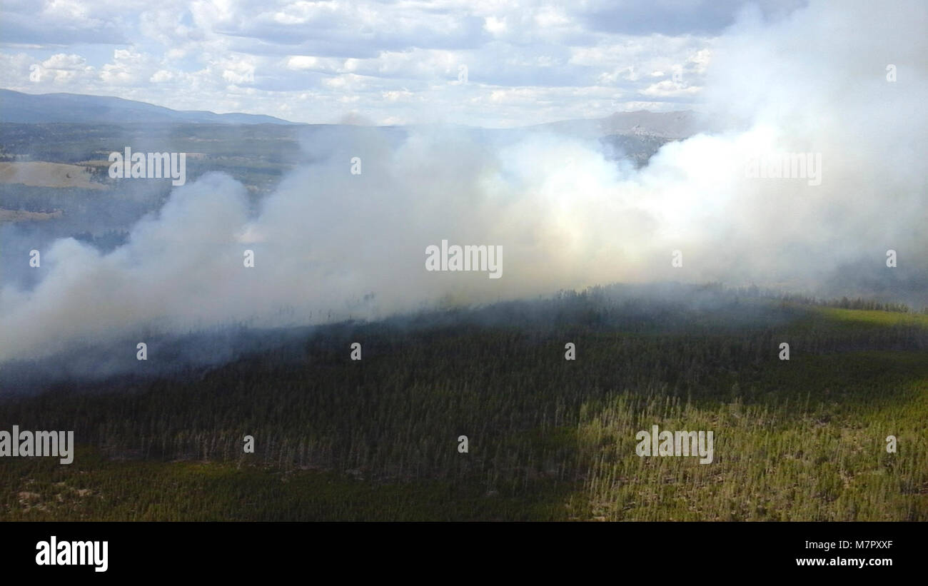 Maple Fire August Stock Photo - Alamy