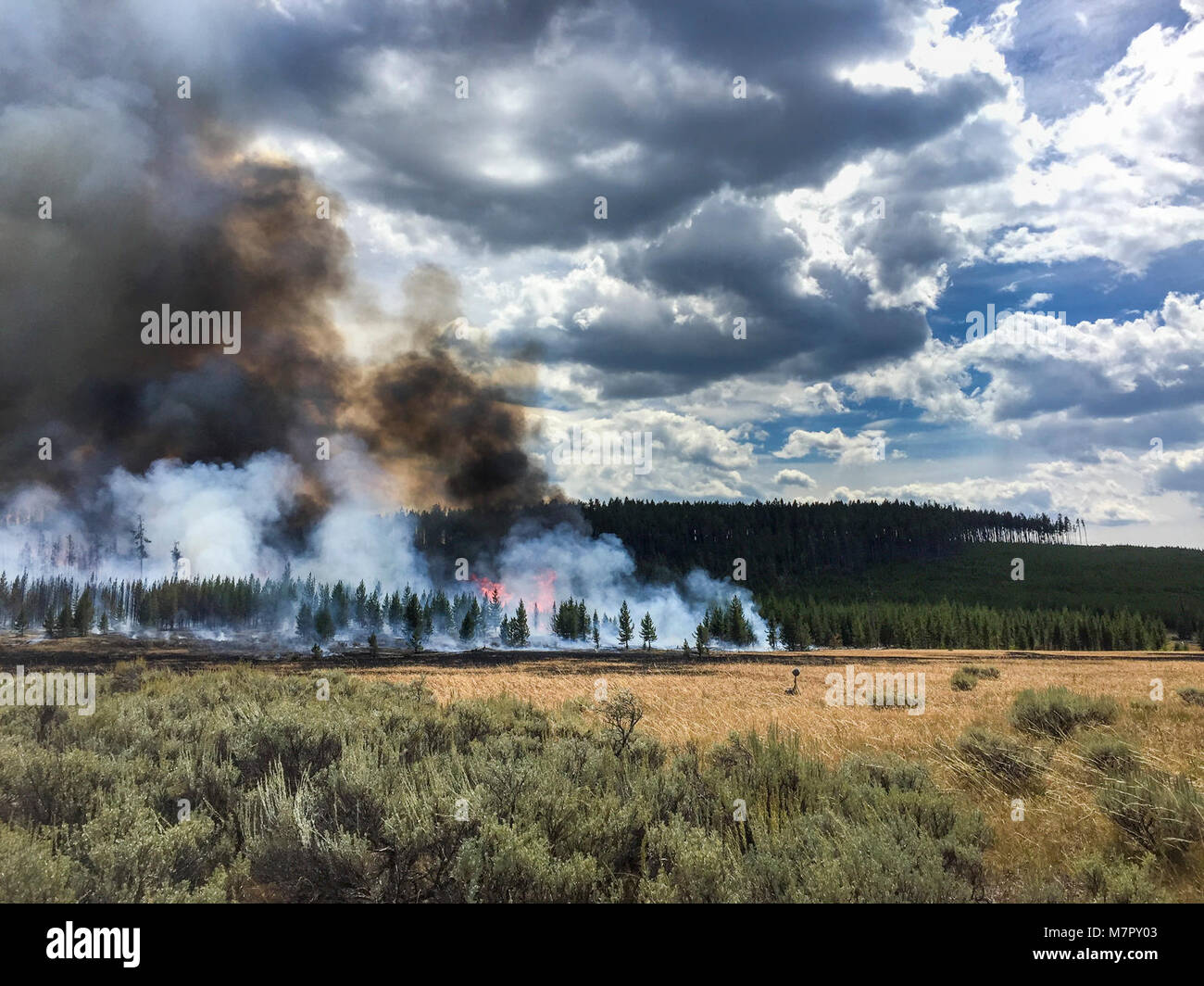 The Maple Fire Stock Photo - Alamy