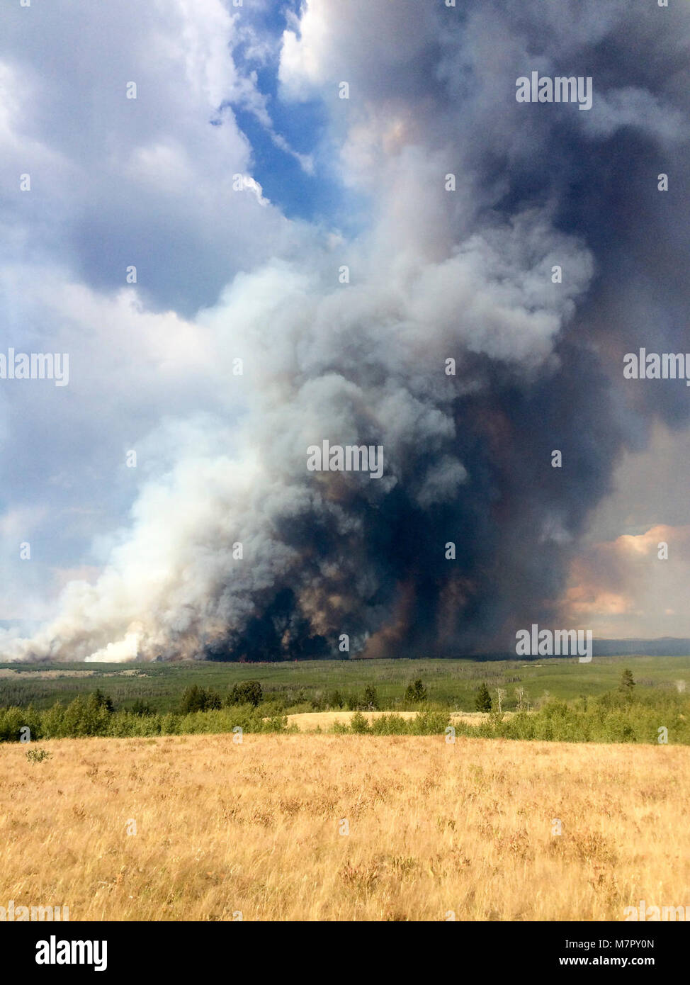 Maple Fire, August Stock Photo - Alamy