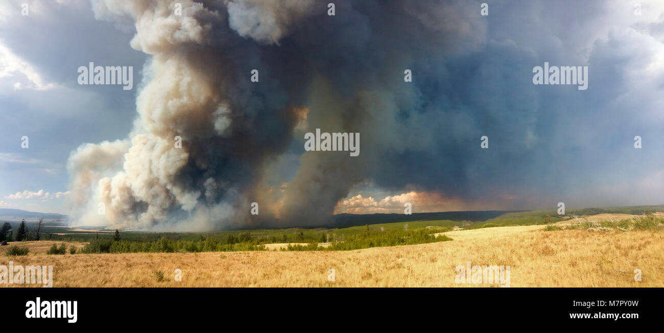 Maple Fire, August Stock Photo - Alamy