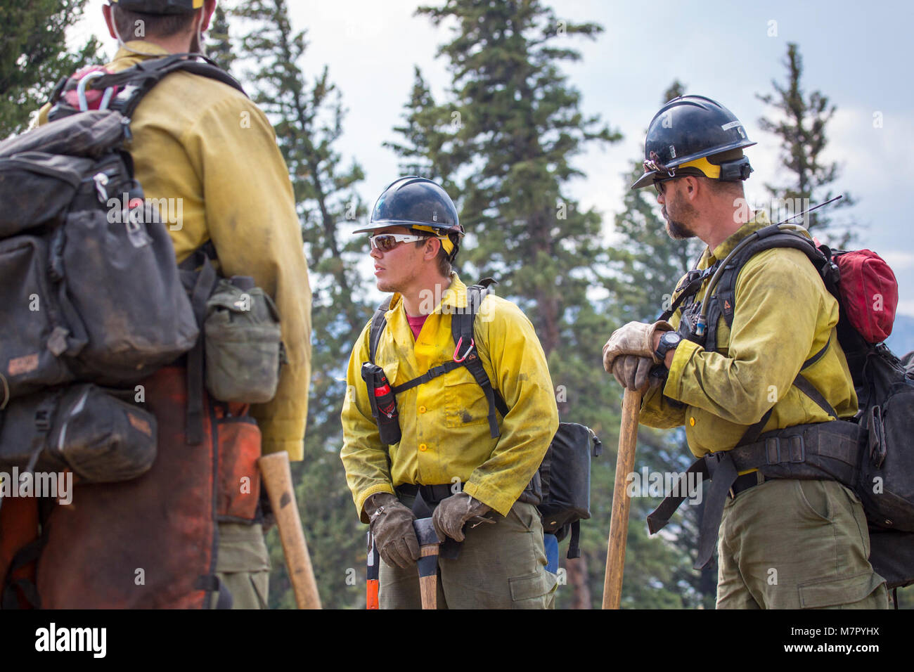 Members of the Billings Initial Attack Crew on the Buffalo Initial ...