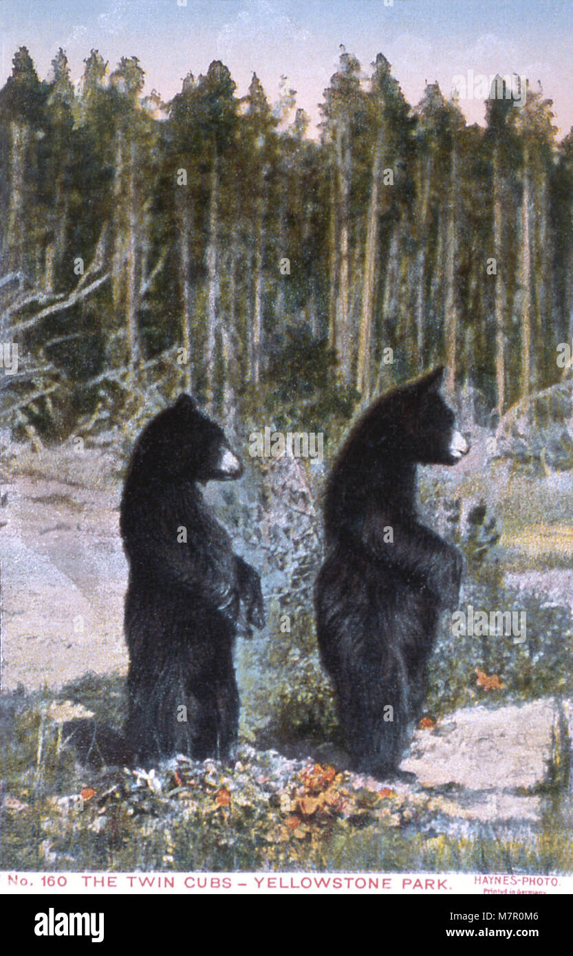 The Twin Cubs 160 - The Twin Cubs Stock Photo - Alamy