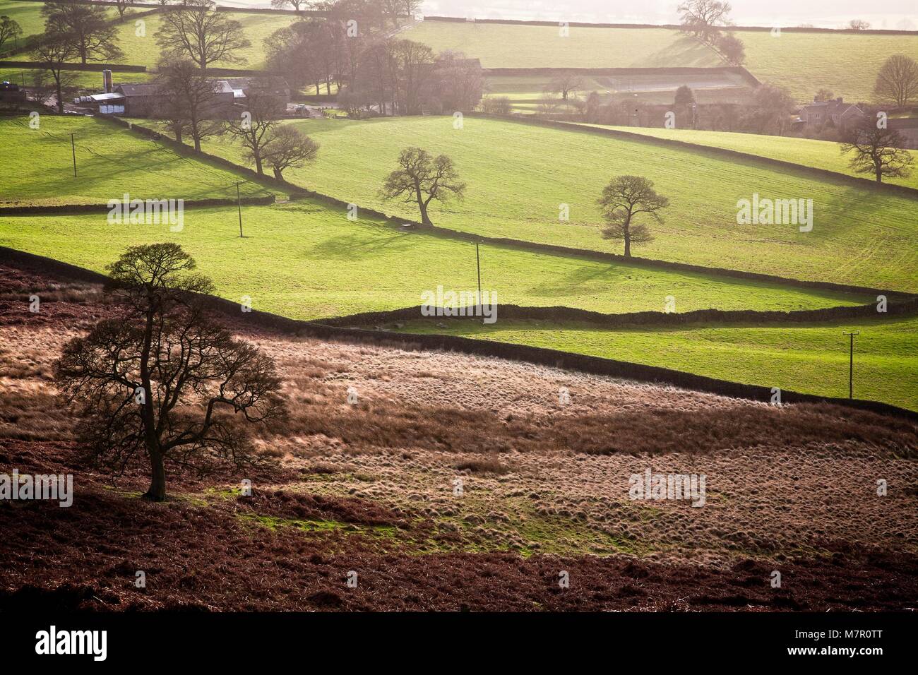 Peak district farm hi-res stock photography and images - Alamy