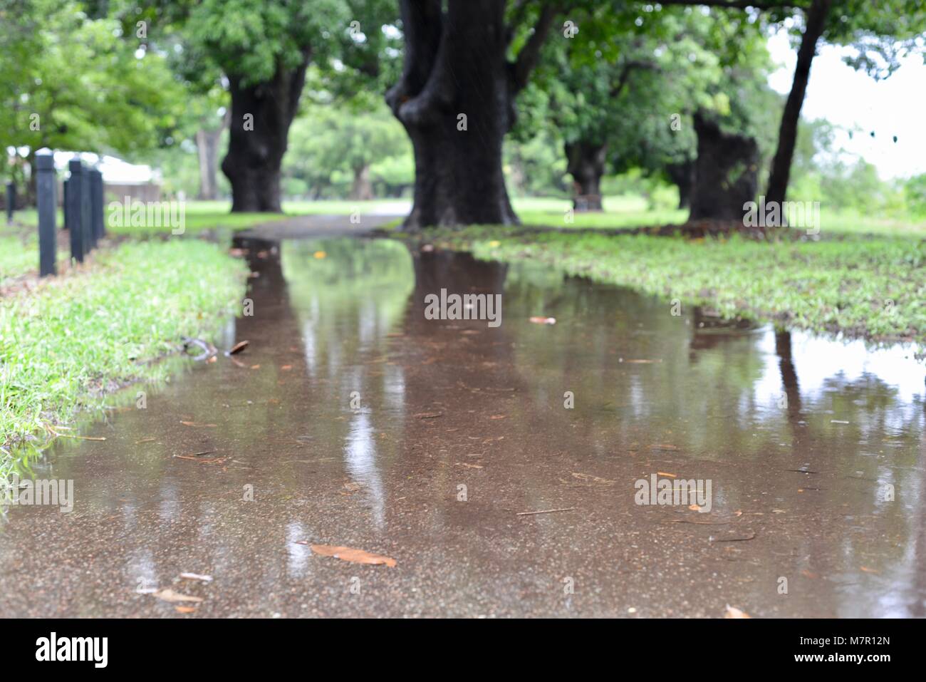 Water covering a path after heavy rains and storms in Townsville ...