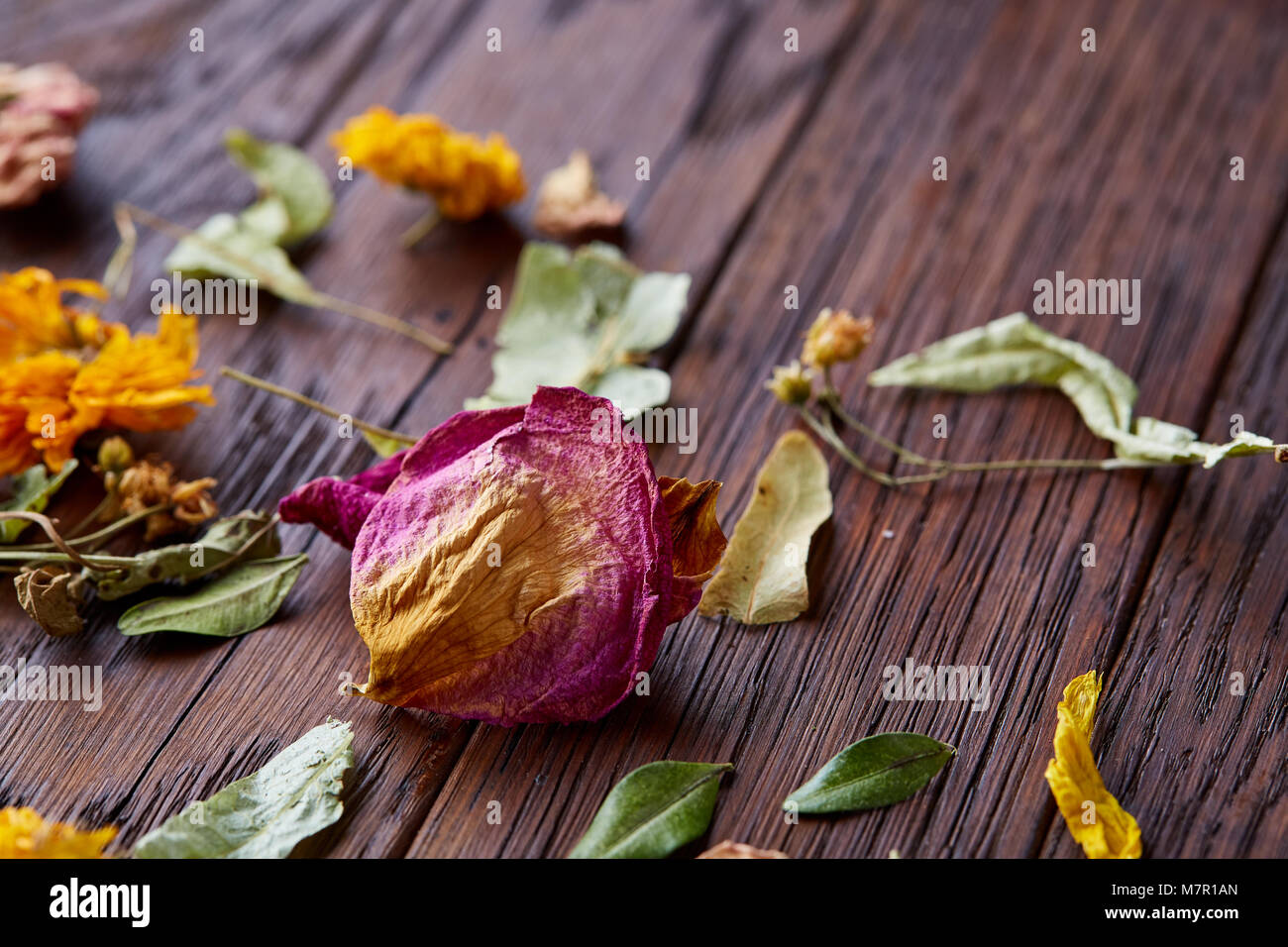 Set of assorted petals isolated on wooden background, close-up ...