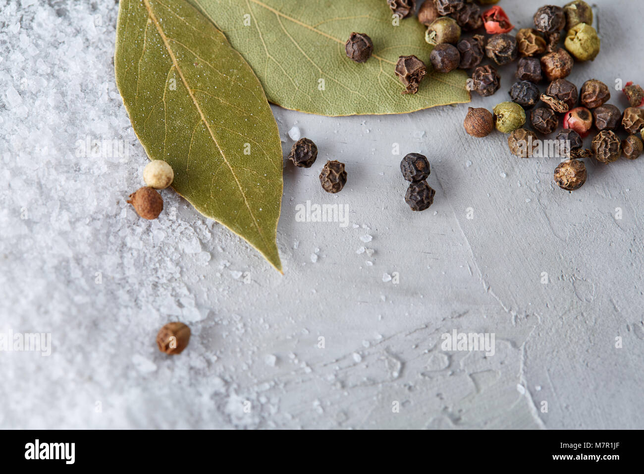 Composition of bay laurel leaf with peppercorn and salt isolated on ...