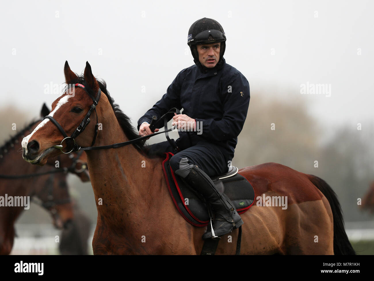 Ruby walsh cheltenham festival faugheen hi-res stock photography and ...