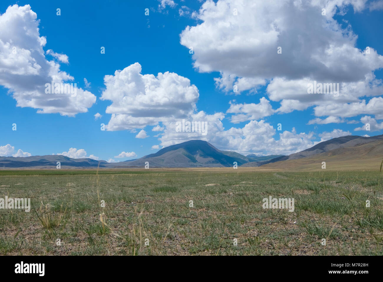 Alpine steppe in Central Asia, Mongolia Stock Photo - Alamy