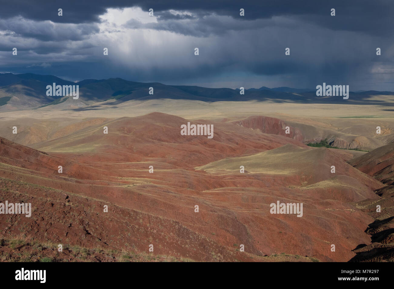 Red soil and Golden grass. Velvet landscape Stock Photo - Alamy