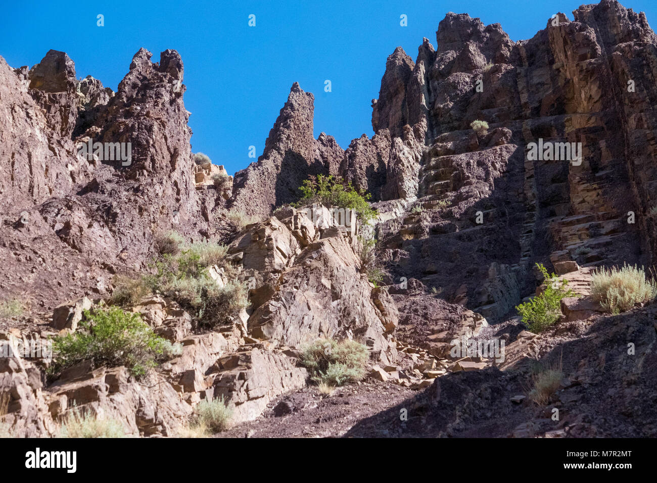 Devonian slates hi-res stock photography and images - Alamy