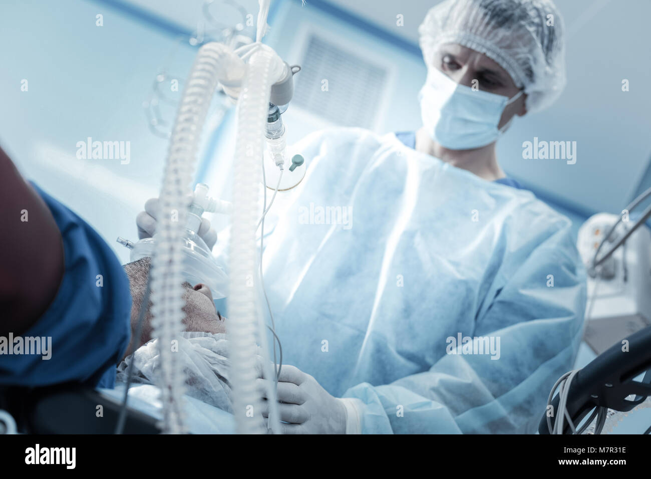 Calm and patient hi-res stock photography and images - Alamy
