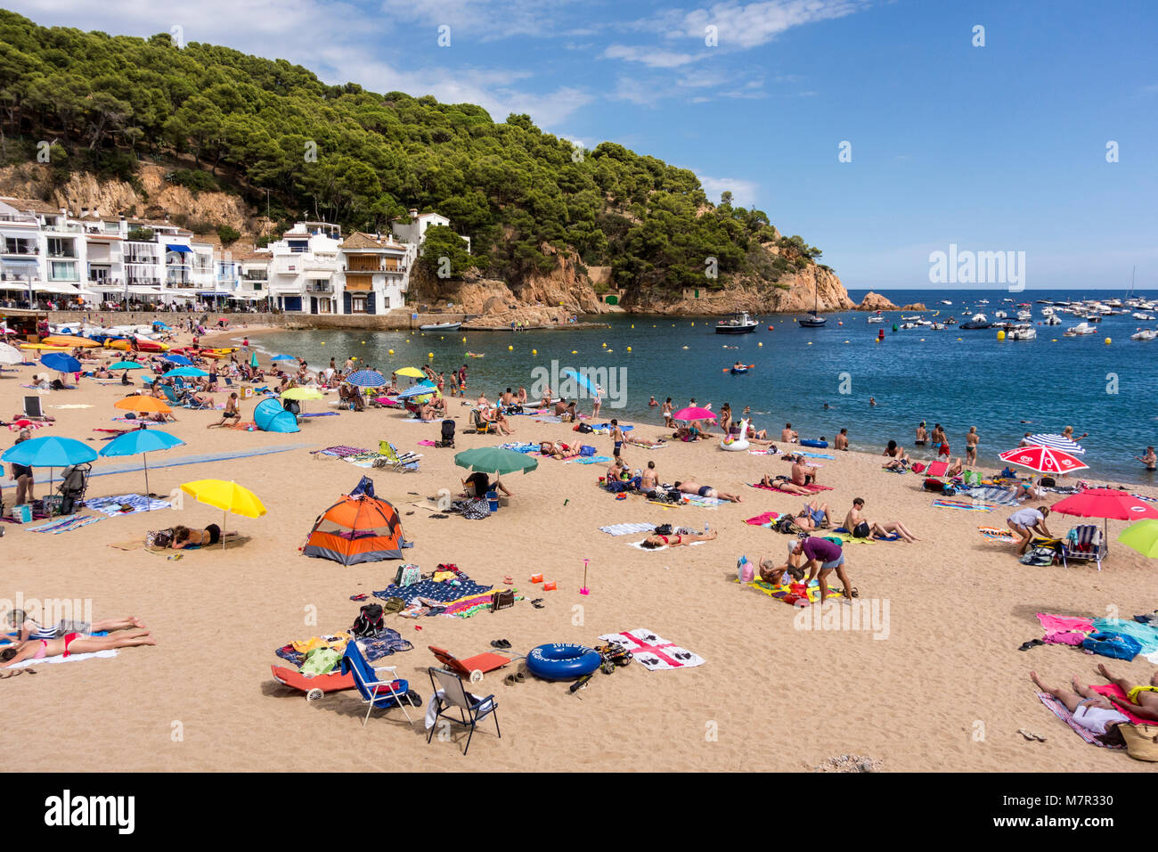 People enjoying summer sun on the beach of Tamariu Bay, Baix Emporda ...