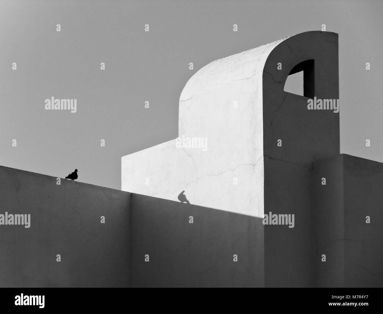 Dove and architecture Stock Photo - Alamy