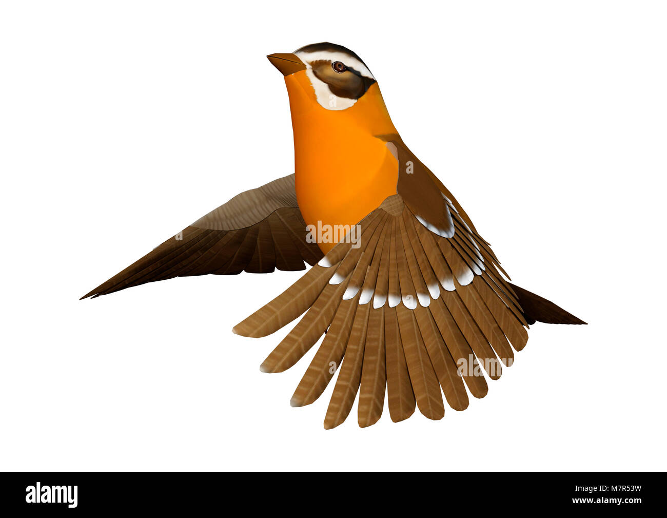 3D rendering of a flying songbird grosbeak isolated on white background ...