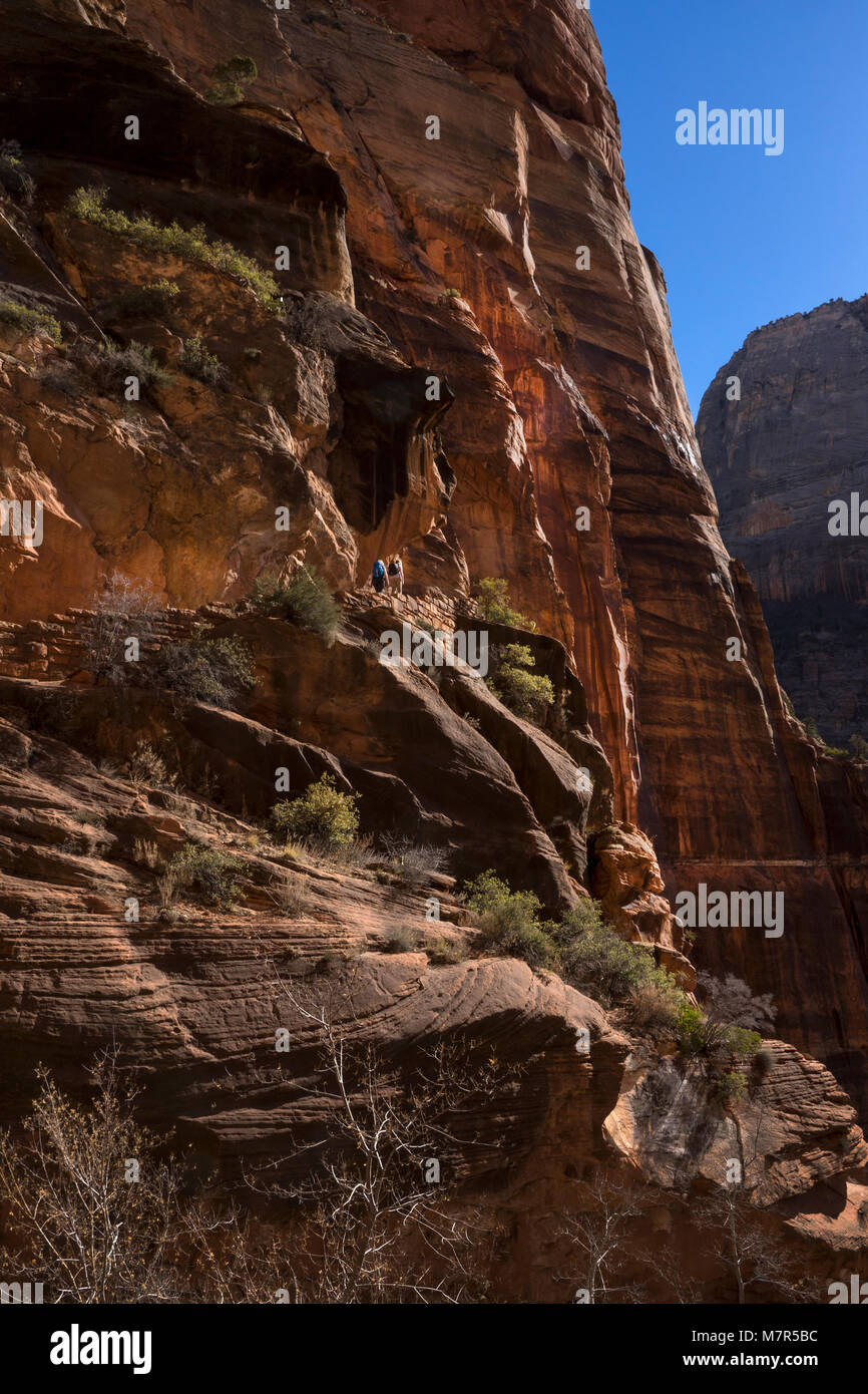 Angels Landing Walk,Zion National Park,Utah,USA Stock Photo - Alamy