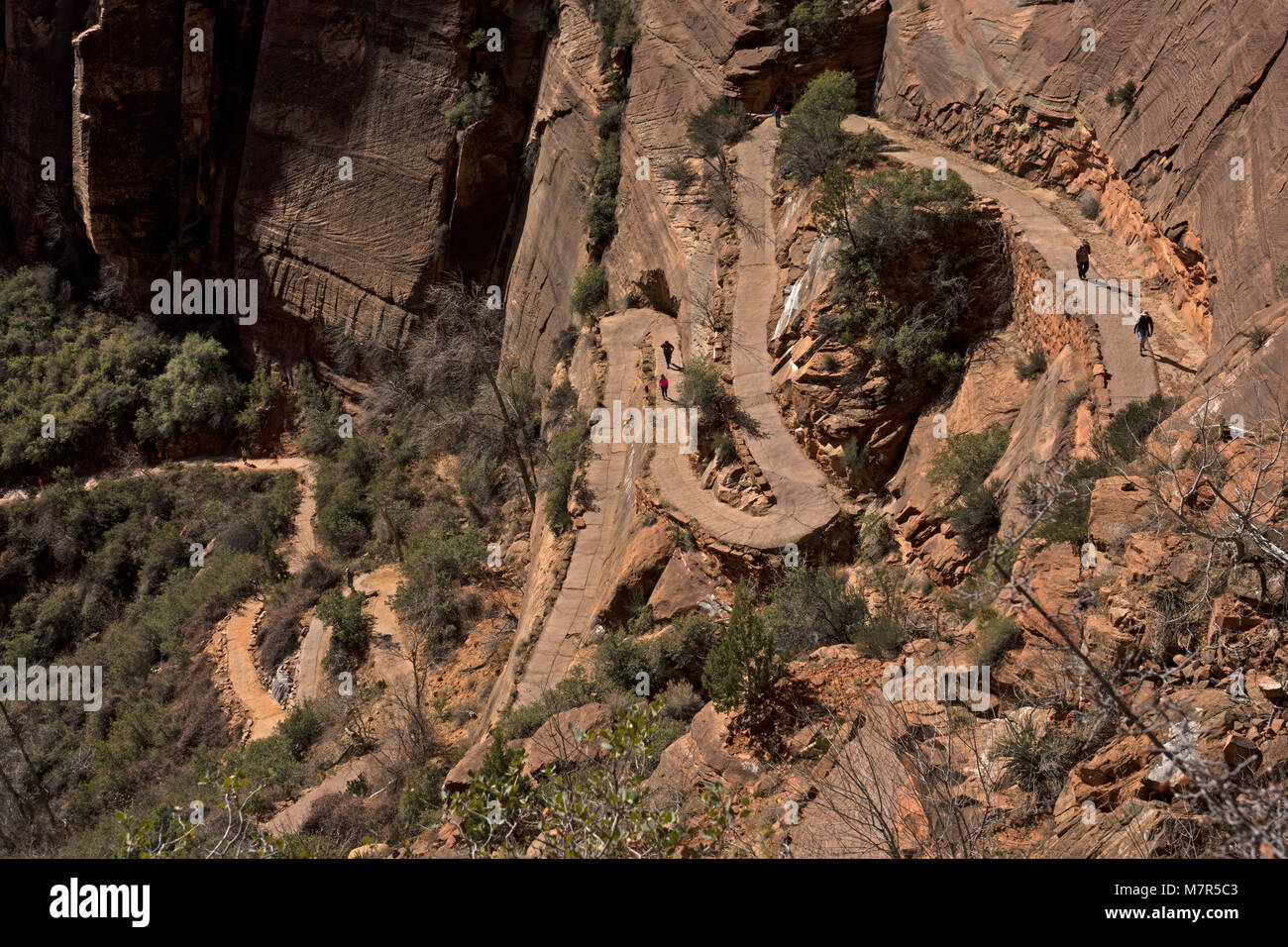Angels Landing Walk,Zion National Park,Utah,USA Stock Photo - Alamy