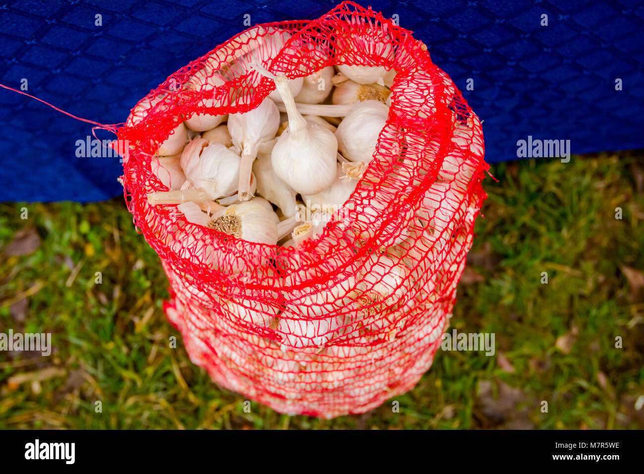 Sack of garlic bulbs hi-res stock photography and images - Alamy