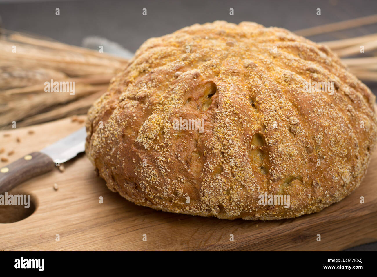 Homemade baked round bread with organic corn and wheat rustic style ...