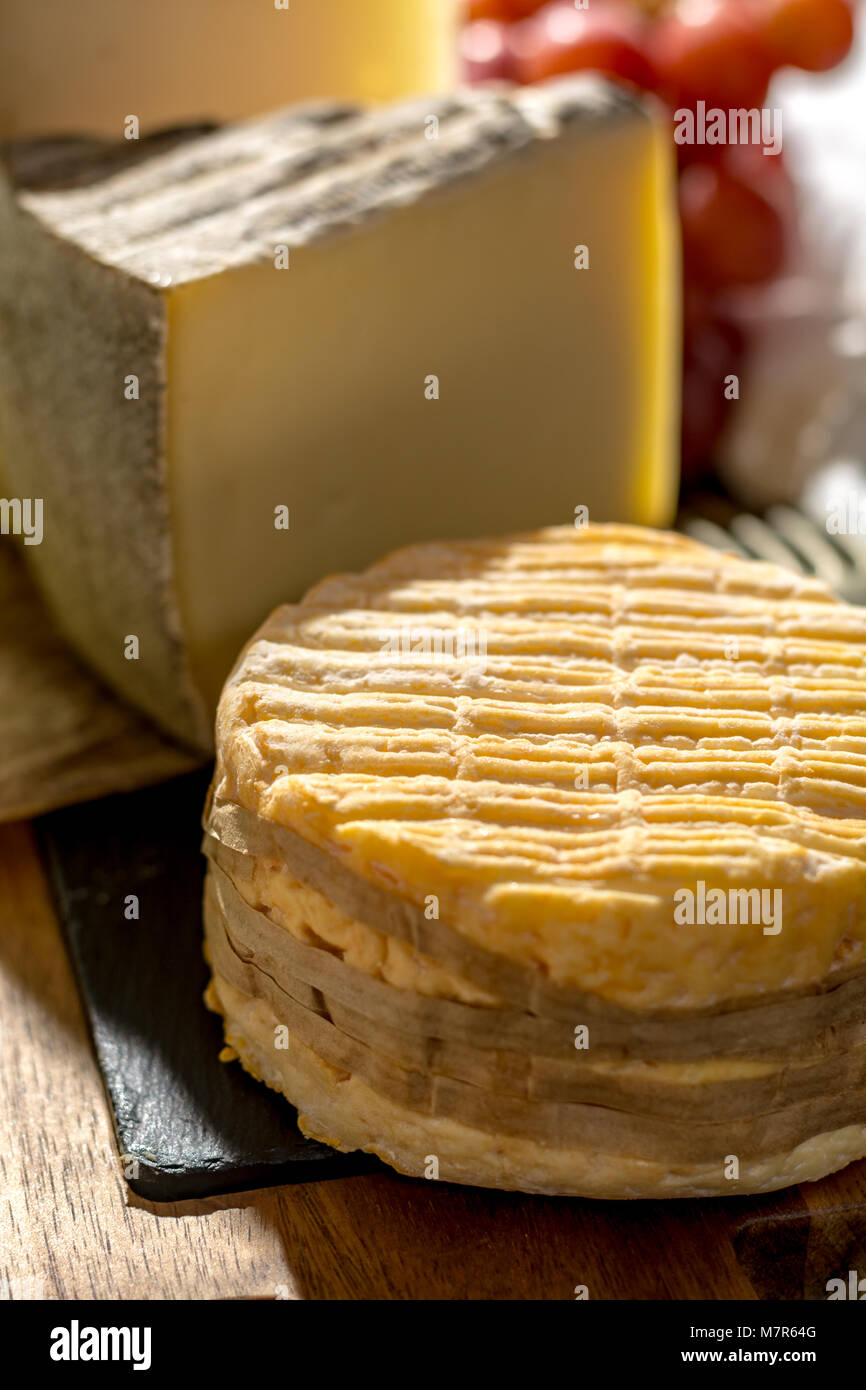 Tasting of oldest french AOC soft pudgent yellow cheese Livarot and ...