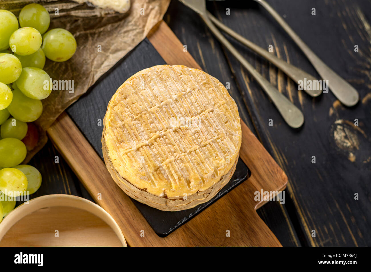 Tasting of oldest french AOC soft pudgent wrapped yellow cheese Livarot ...