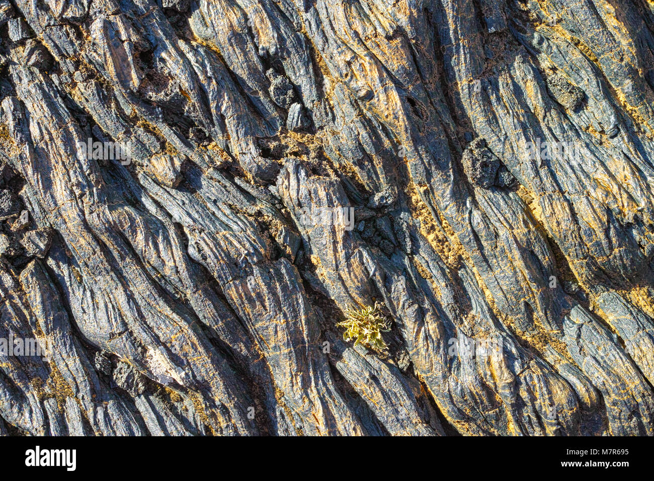Abstract dark background, natural lava stone texture close up Stock ...