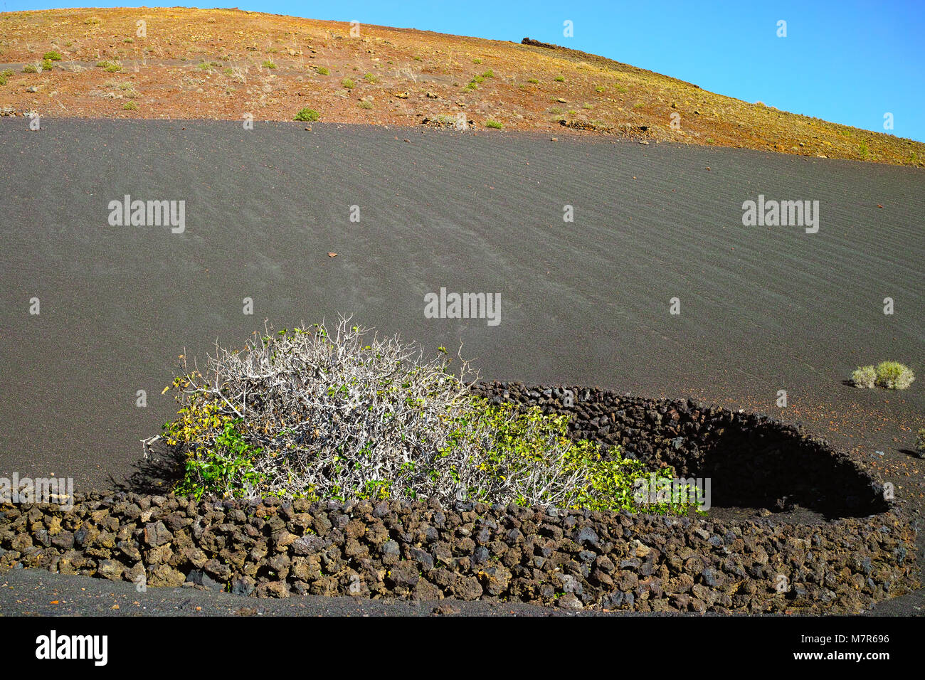 Views on black lava mountains during guided hiking discovery tour ...