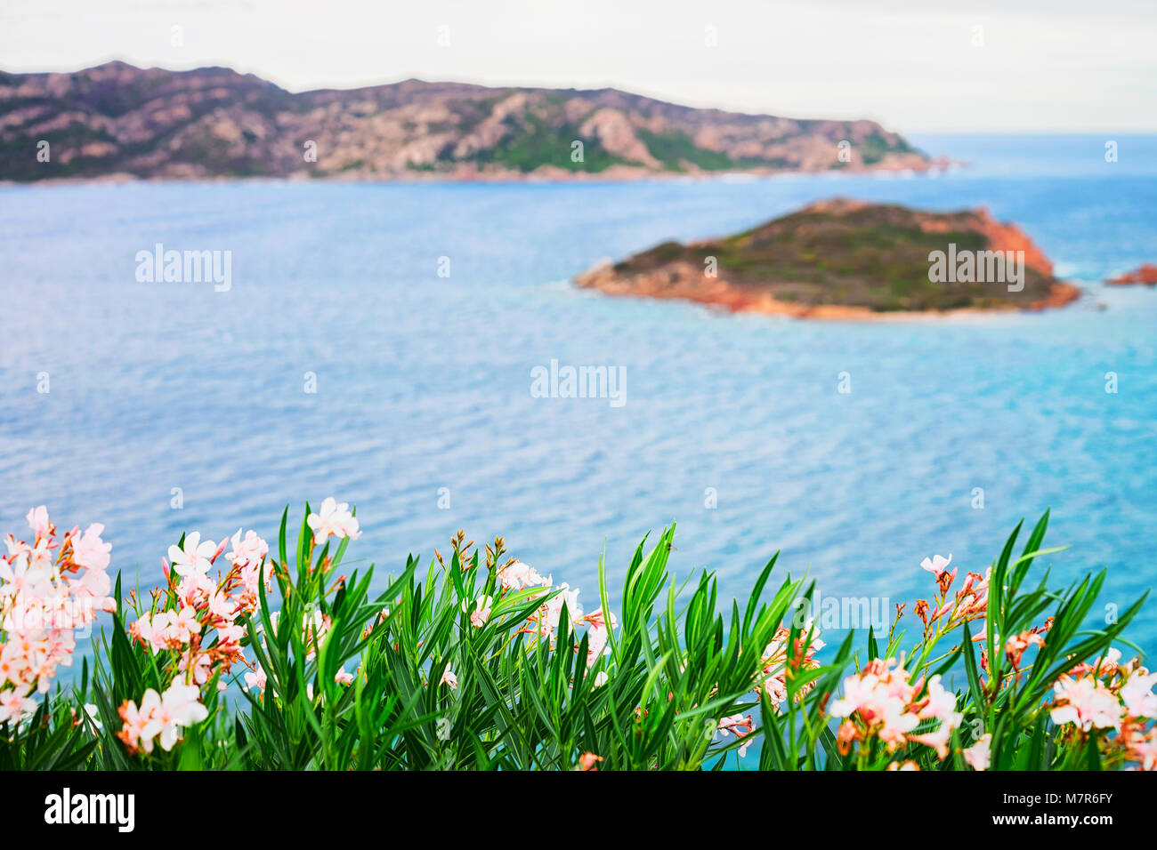 Molara Island From Tavolara High Resolution Stock Photography and ...